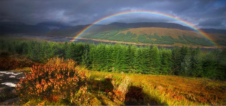Beautiful Full Rainbow